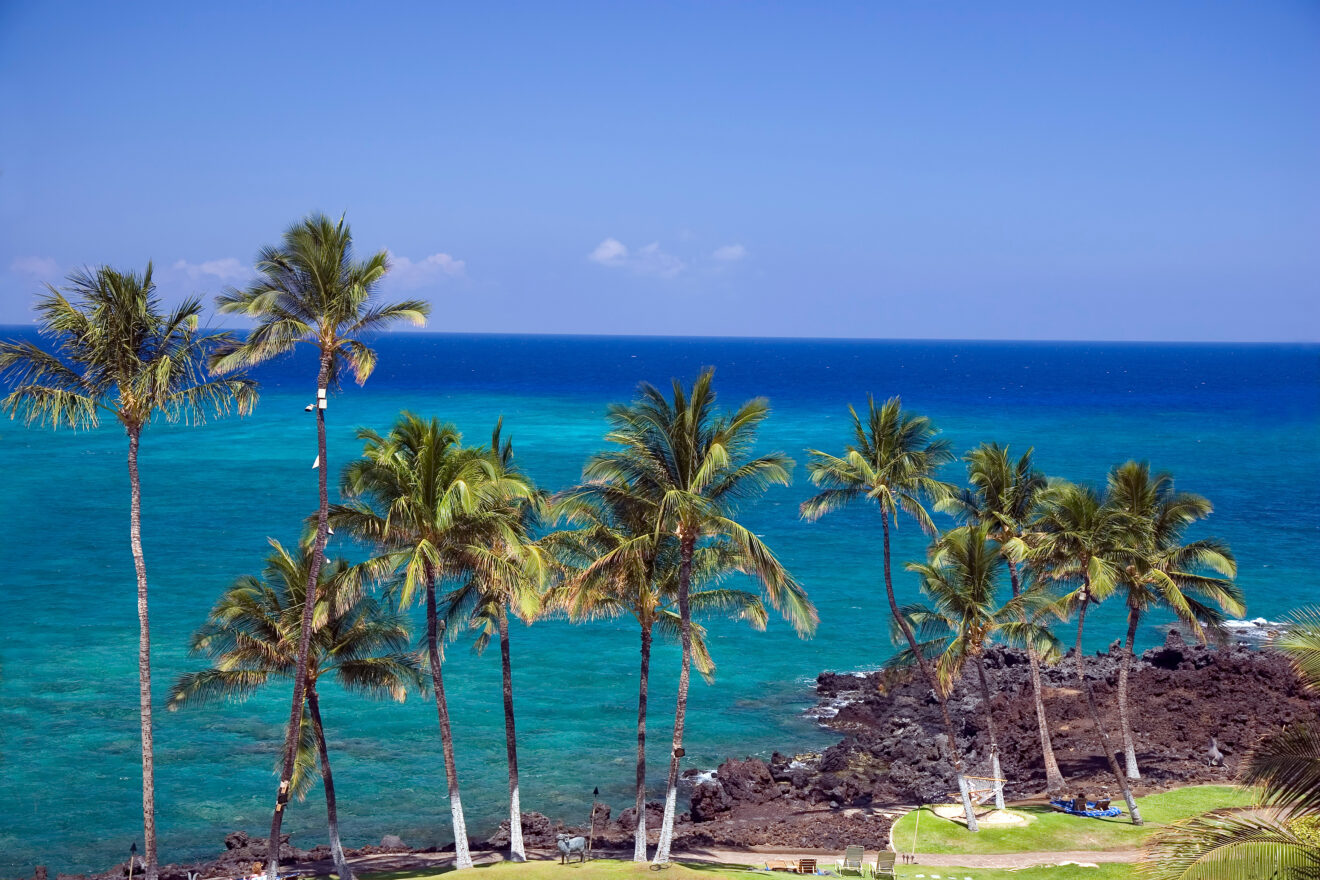 Spring Break Trends | Casago