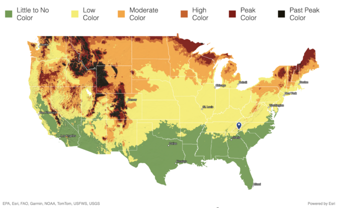 14 Spectacular Fall leaf-peeping trips with Casago | Casago