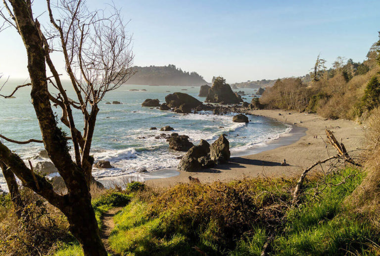 New Casago Branches and How to Franchise | Casago