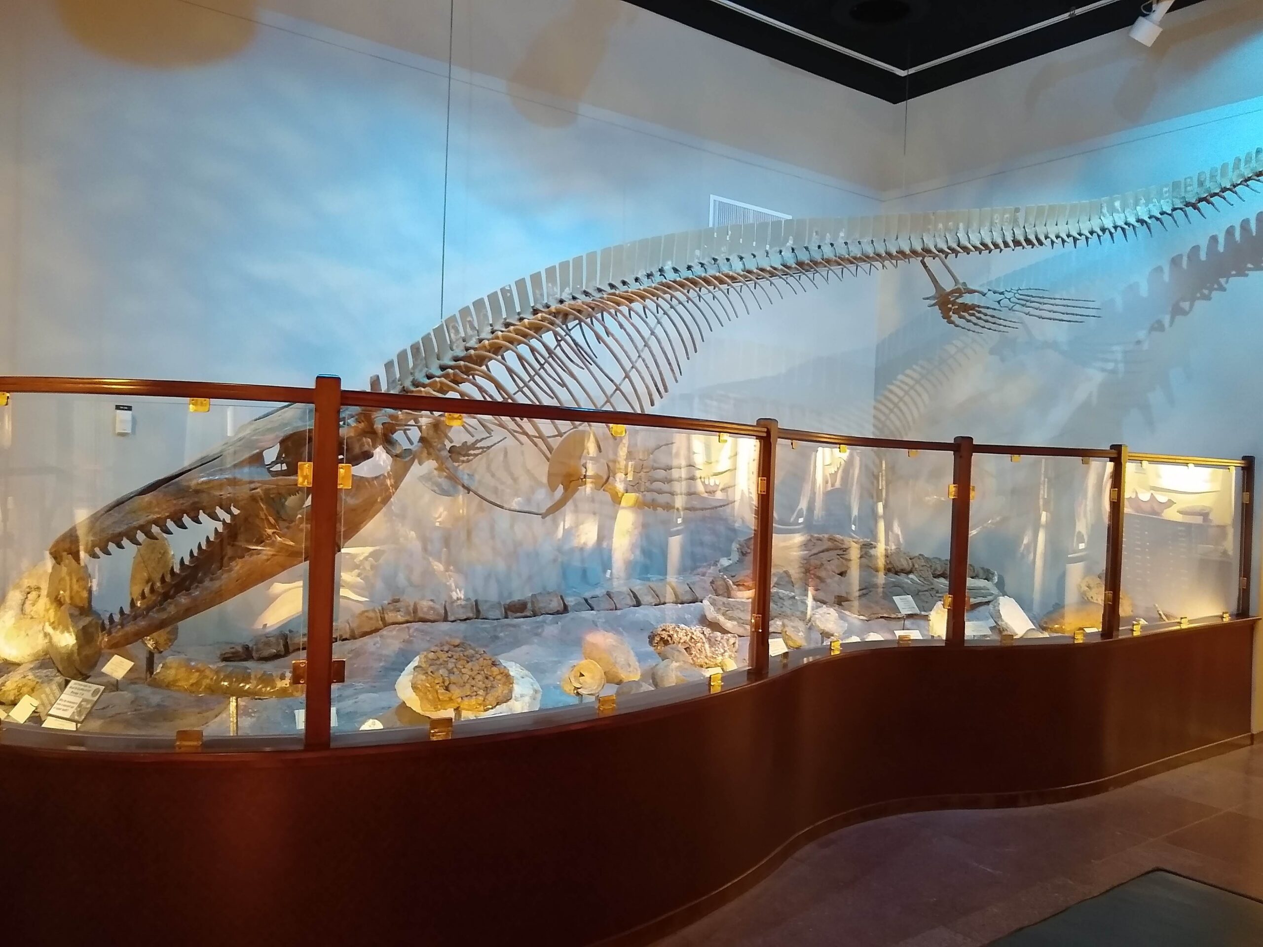 Texas Science & Natural History Museum - Austin