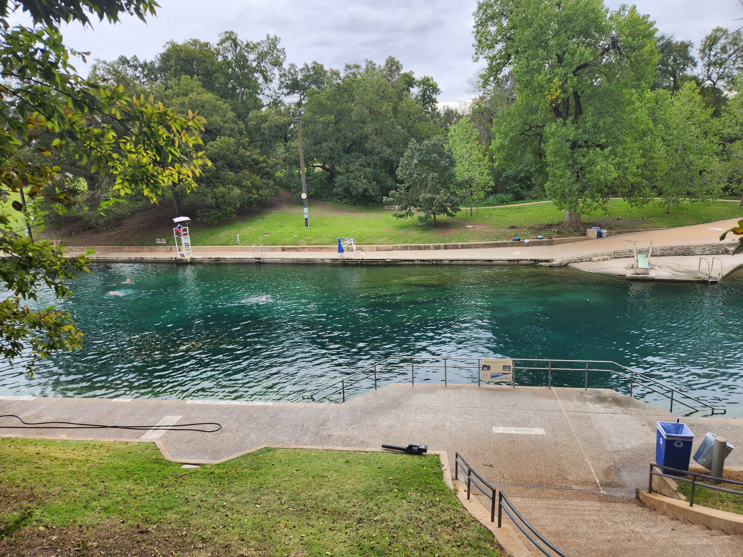 Barton Springs Municipal Pool - Austin