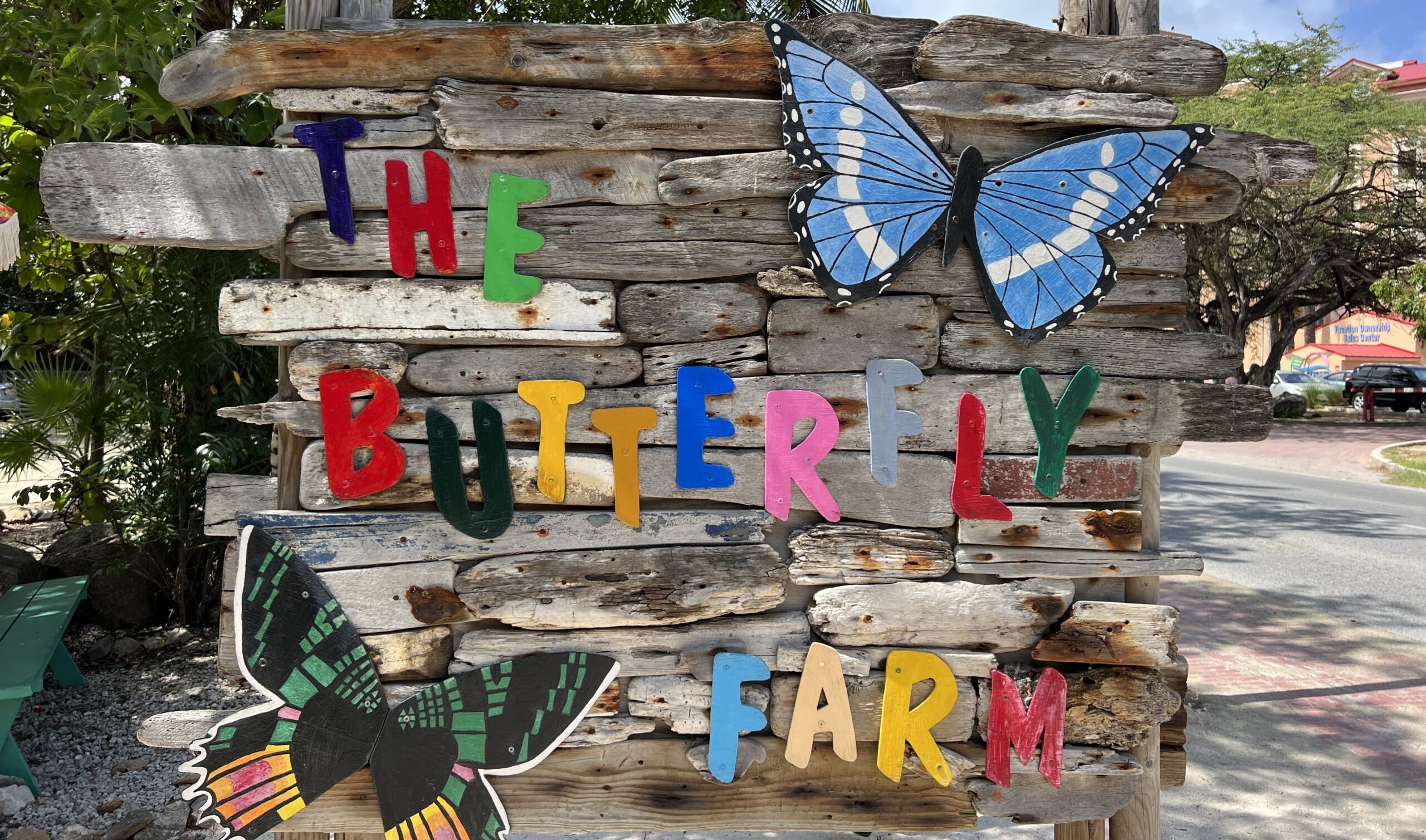 Butterfly Farm - Aruba
