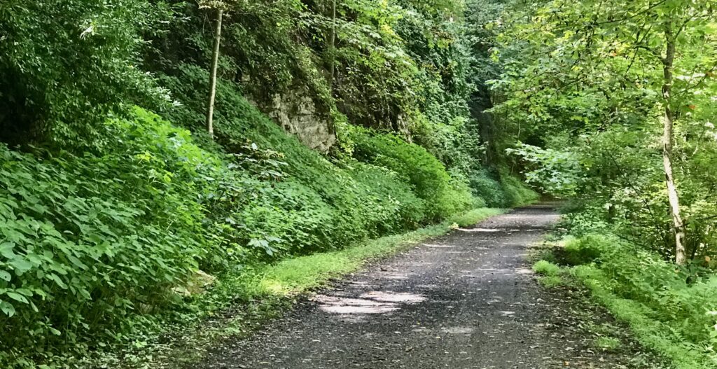 New River Trail State Park | Blue Ridge Parkway
