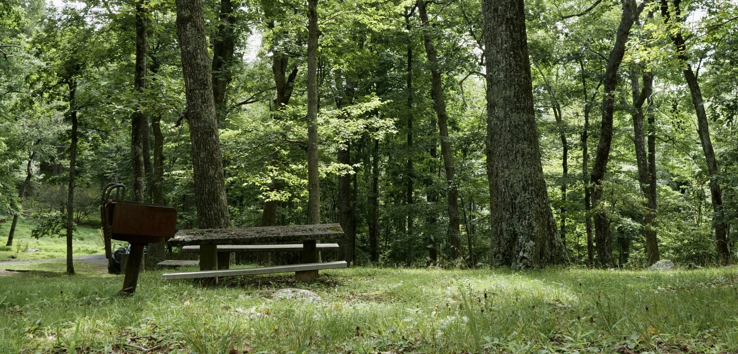 Rocky Knob Recreation Area - Blue Ridge
