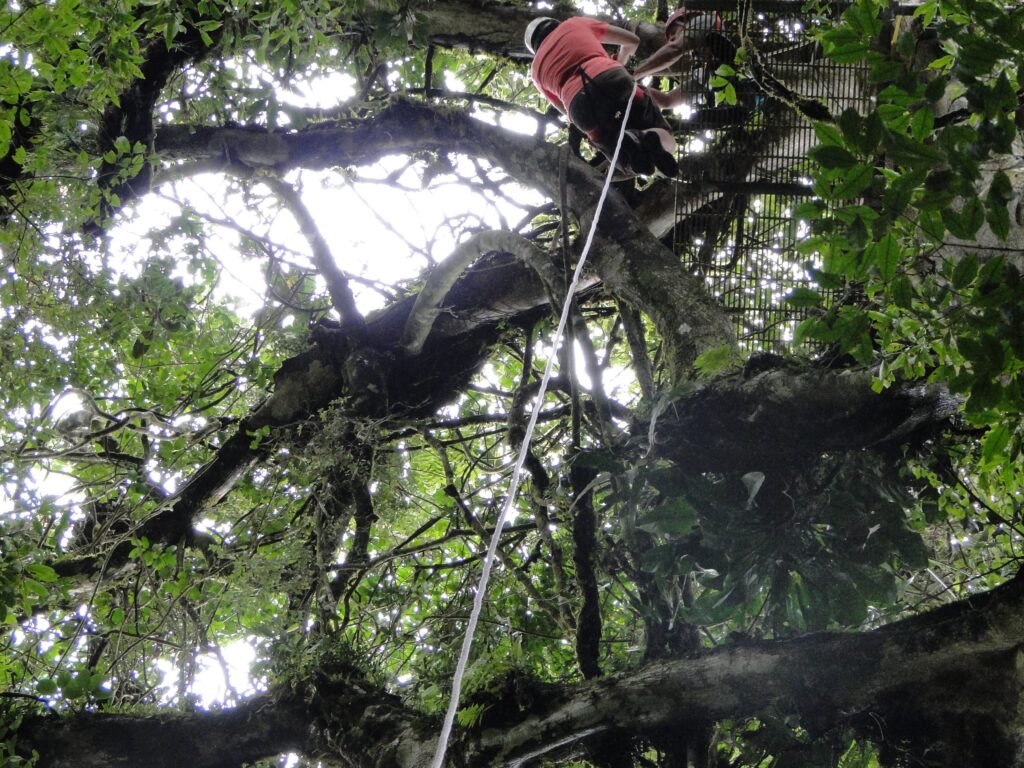The Original Canopy Tour Monteverde - Costa Rica