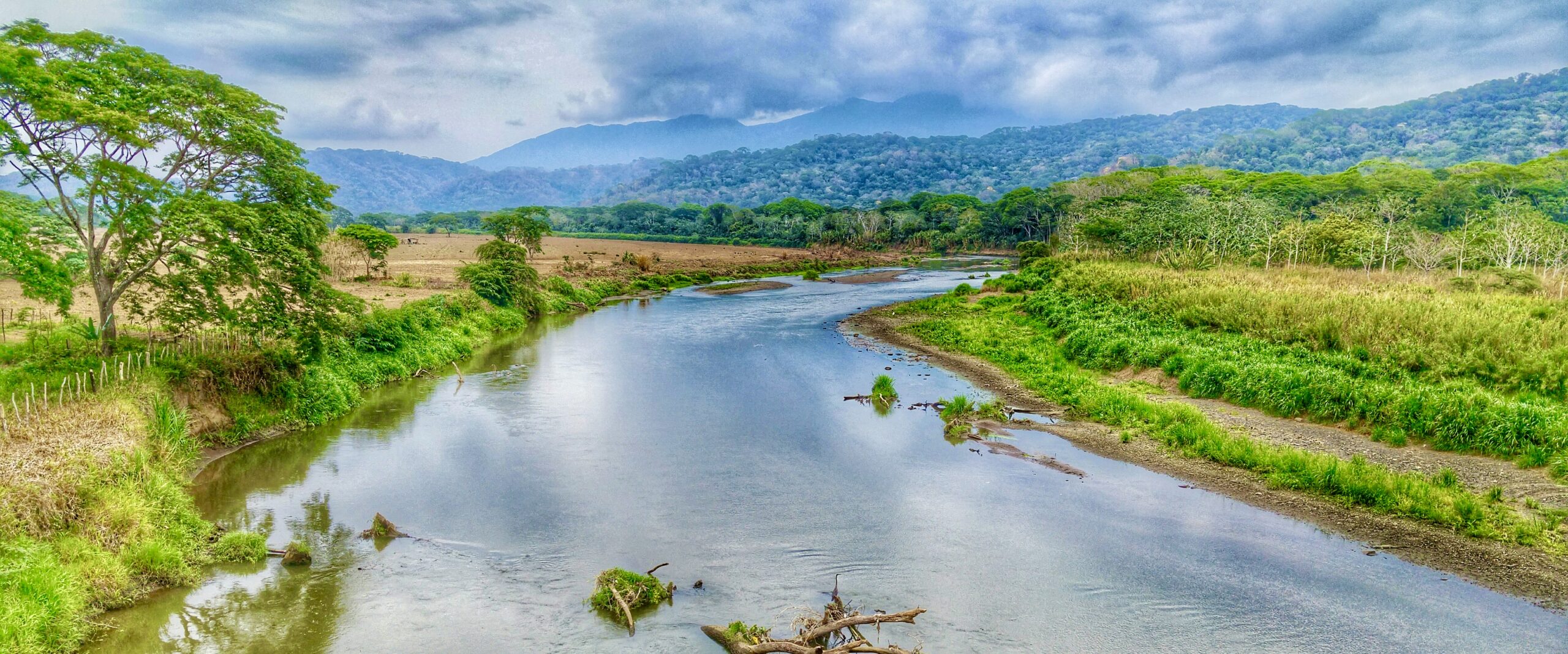 Carara National Park - Costa Rica