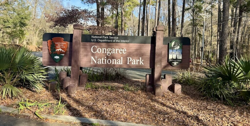 Congaree National Park - Columbia