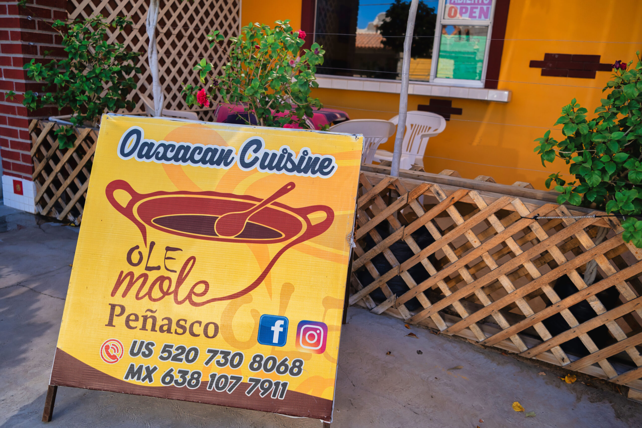 Ole Mole | Casago Rocky Point