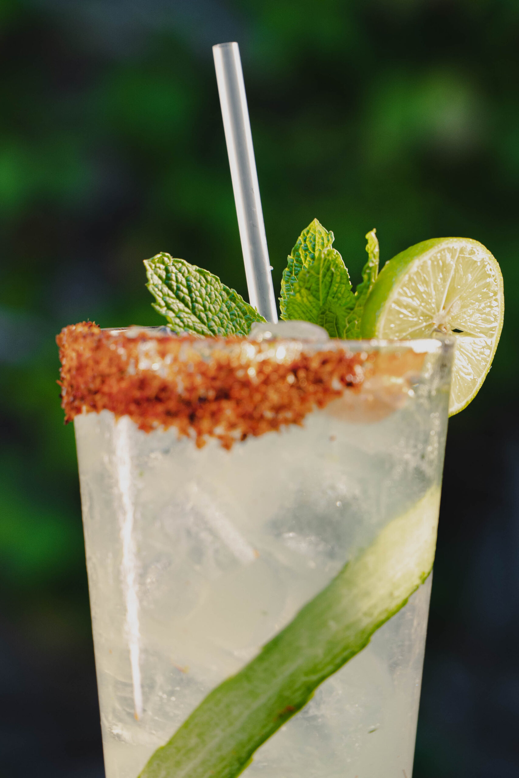 Leo's Bar | Casago Rocky Point