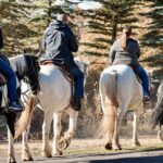 Red Pine Adventures/ Park City Travel Guide