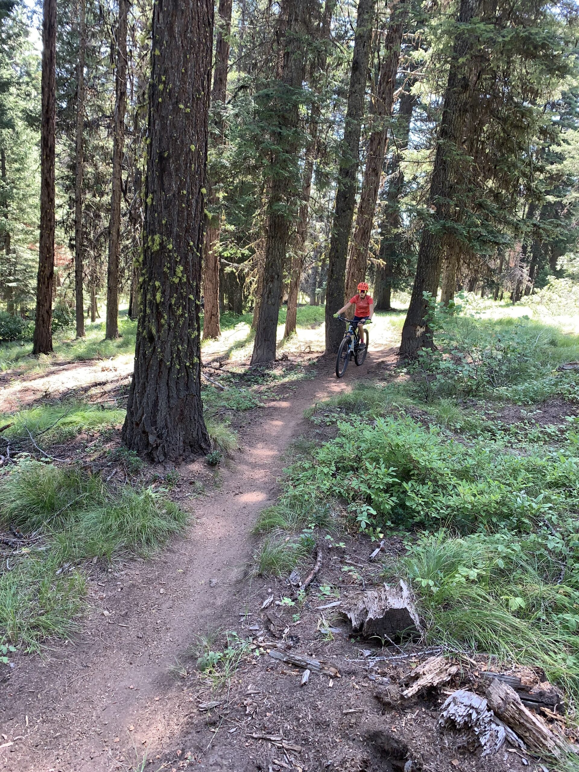 West Face Trailhead - Casago McCall
