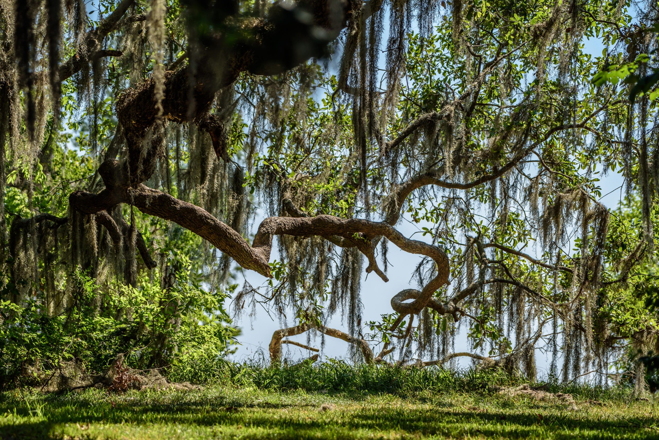 Princess Place Preserve - Casago Palm Coast