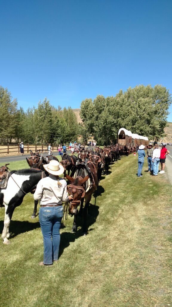 Sun Valley Stables - Casago Sun Valley