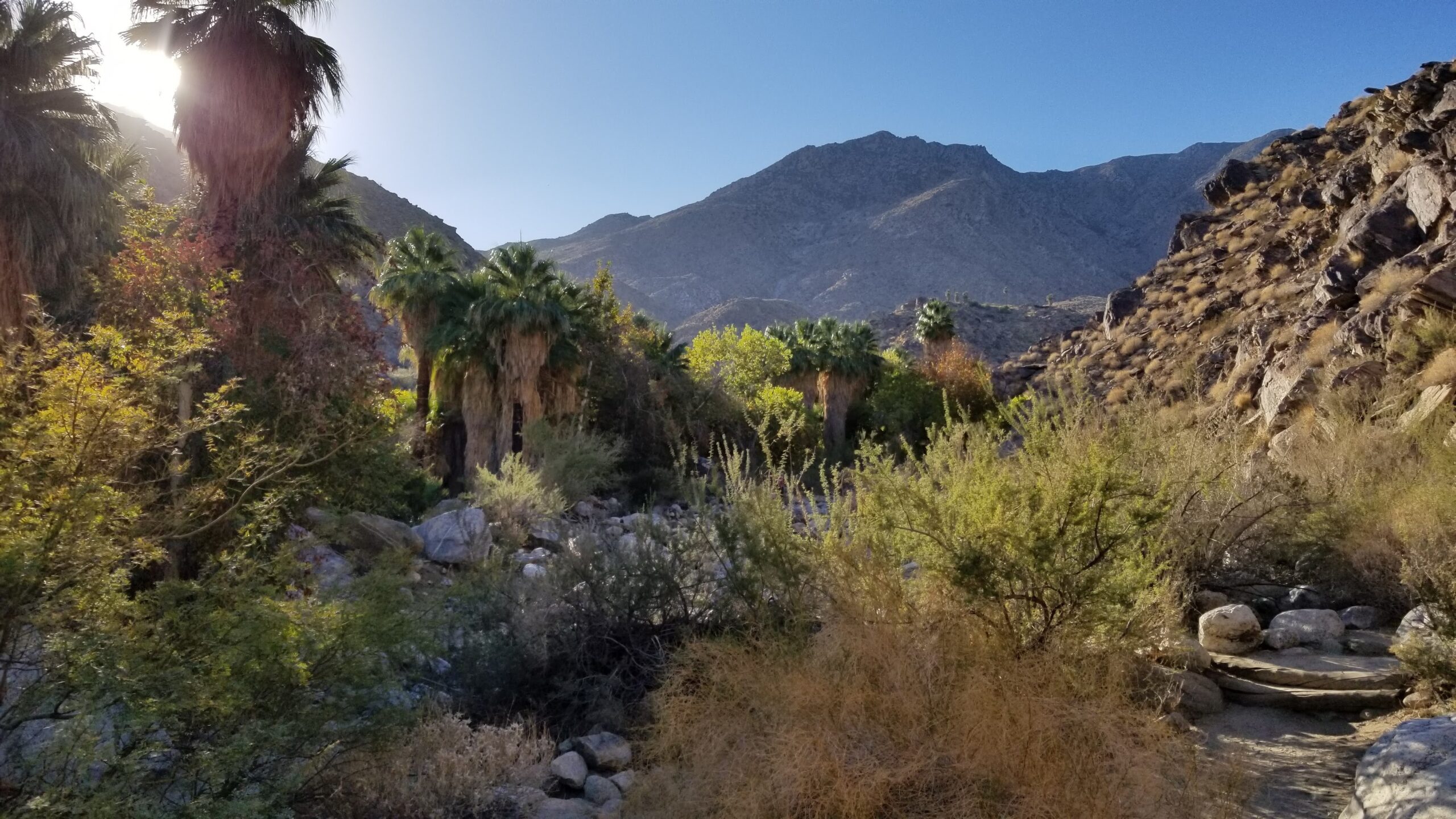 Andreas Canyon Trailhead - Palm Springs
