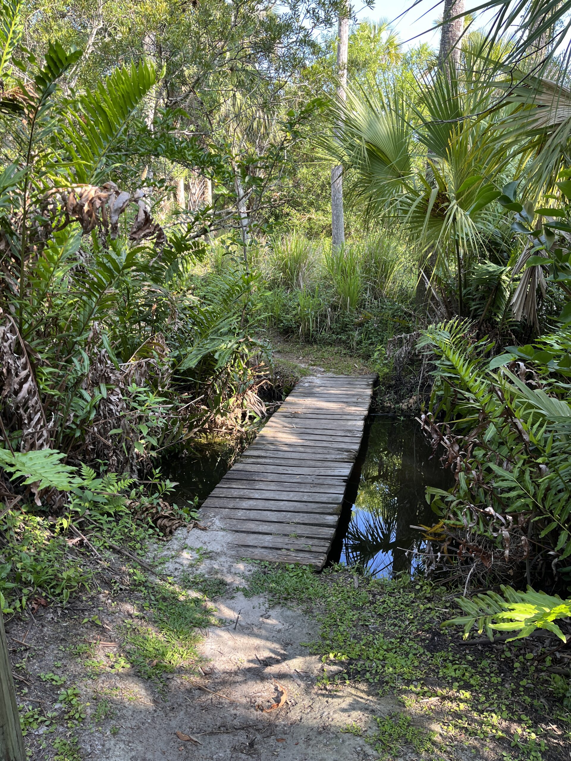 Ten Mile Creek Preserve - Casago Treasure Coast