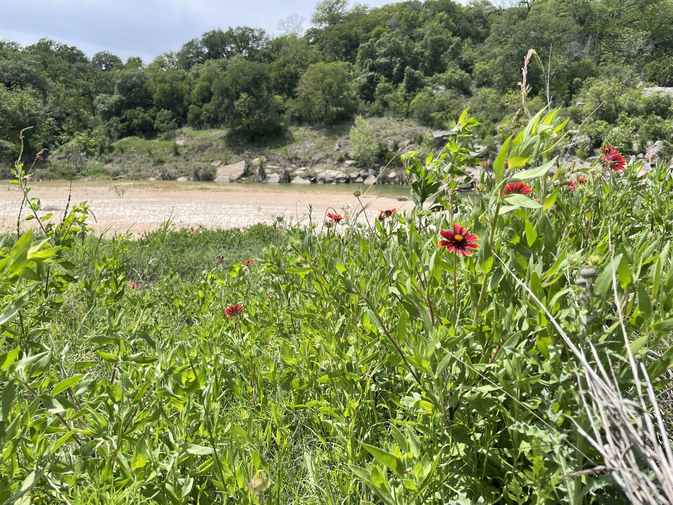 Milton Reimers Ranch Park - Texas Hill Country North