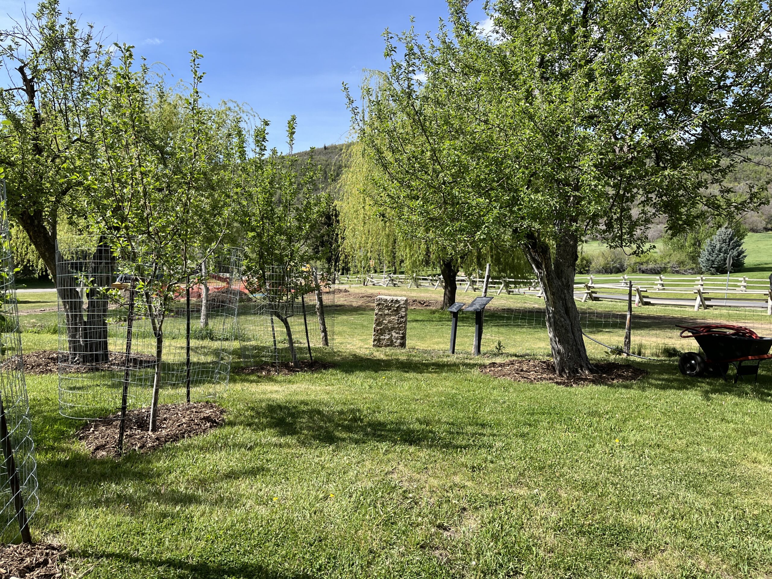Huber Grove - Heber City