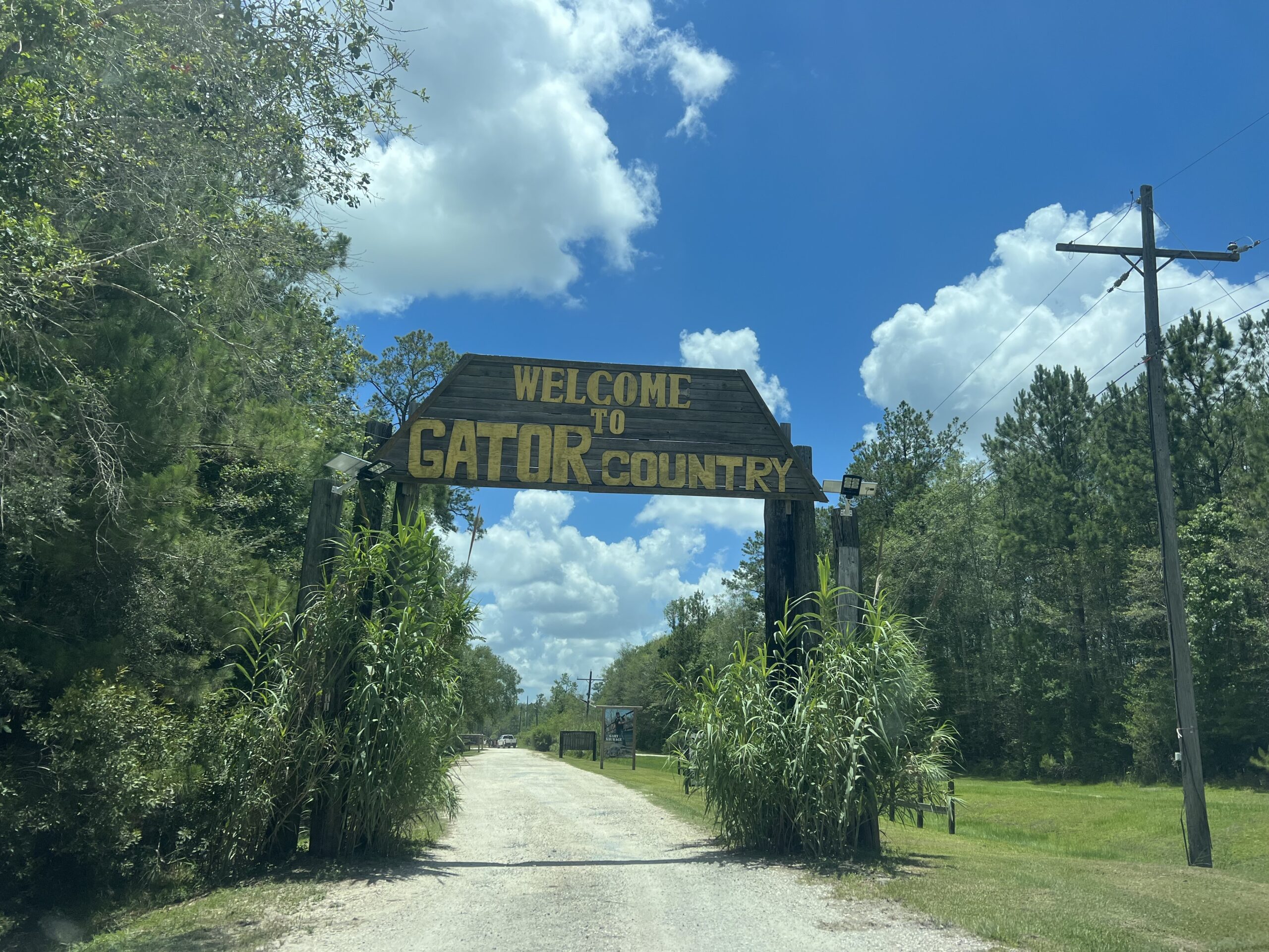 Gator Country - Bolivar Peninsula