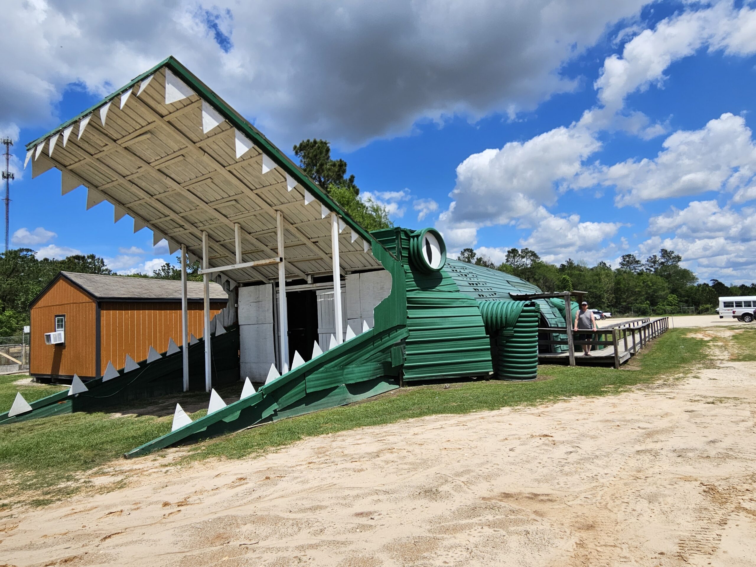 Gator Country - Bolivar Peninsula