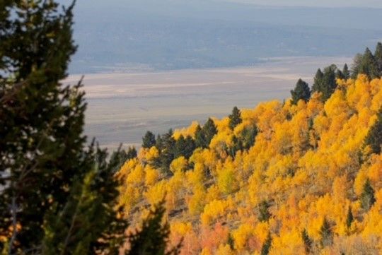 15 Spectacular Fall leaf-peeping trips with Casago | Casago